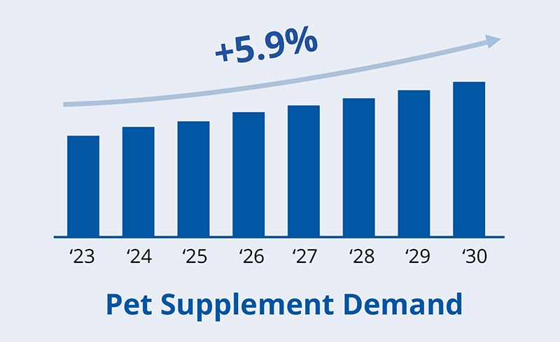 Pet Supplement Manufacturing: Solution Comparison Guide | Pet Tech Labs
